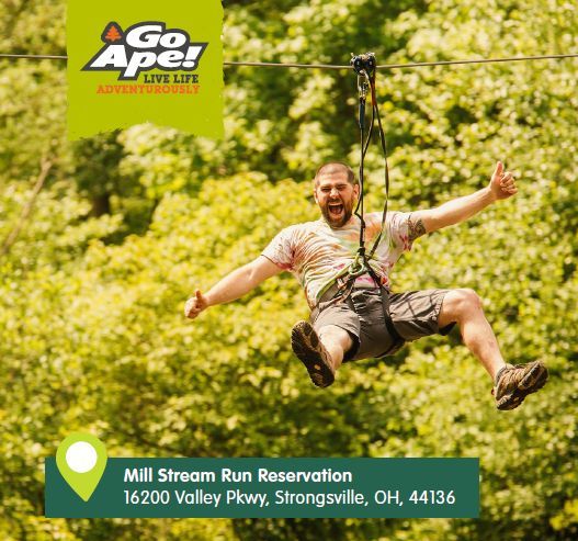 Live life adventurously with Go Ape! – Hermes Sports & Events